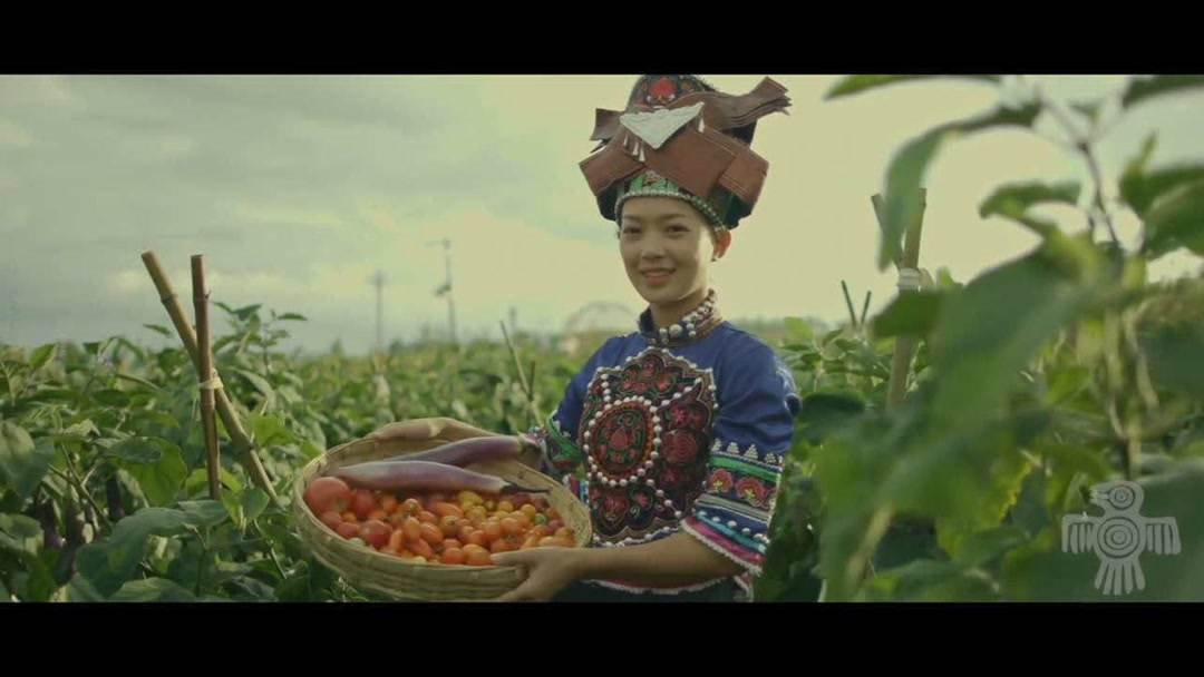   砚山县形象宣传片《滇桂走廊 福地七乡》(人文版)