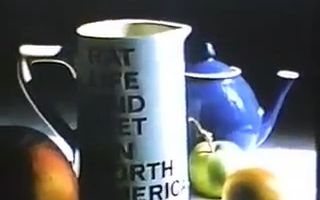 ...的生活與飲食 Rat Life and Diet in North America 1968 - Joyce Wieland