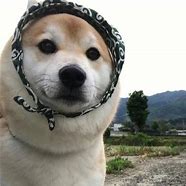 良い曲 