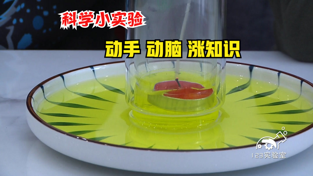 几分钟做一个小实验,动手动脑涨知识,快来看看“吸水神功”吧!
