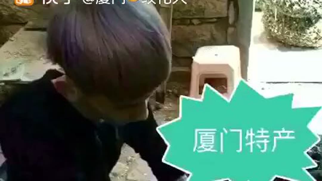 肆分之三的视频2017-03-15 20:00:48
