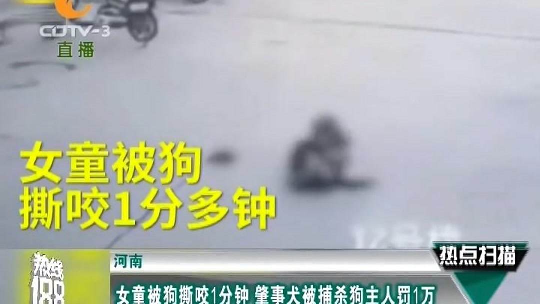 女童被狗撕咬1分钟 肇事犬被捕杀狗主人罚1万