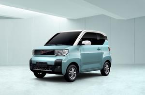 入列“神车”家族 五菱全新纯电动车定名"宏光MINI EV"
