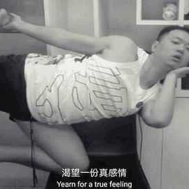 带带大肥猫 