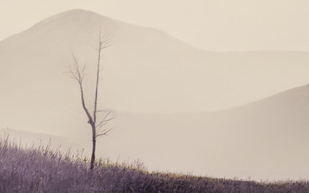 不会画画的人也能享受绘画的乐趣!NVIDIA Canvas绘画过程