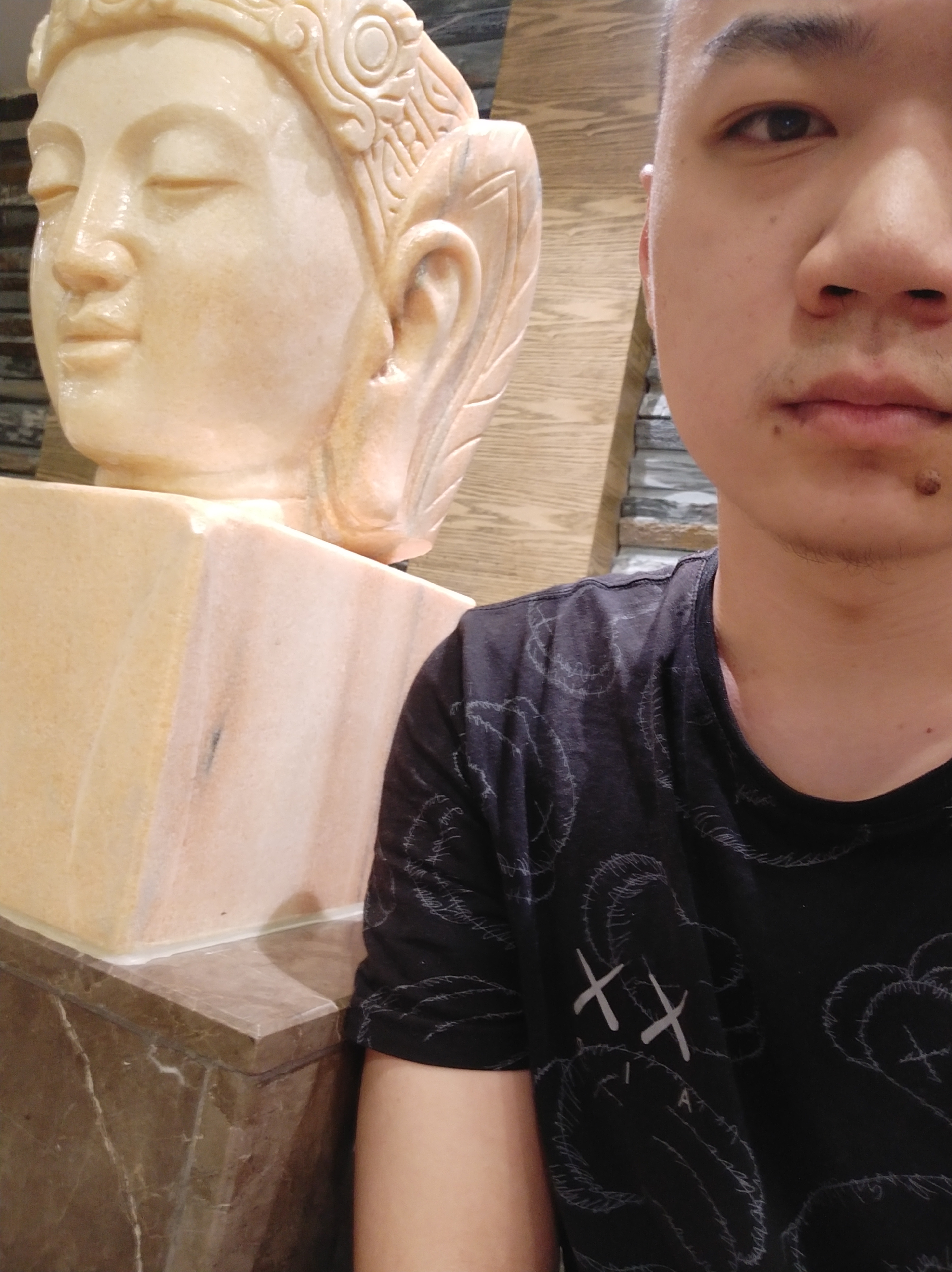 泊成爱萌宠 