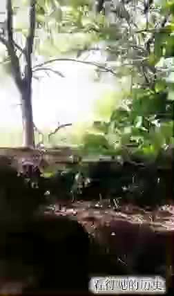 战争实录 遭受俄军袭击的乌军阵地