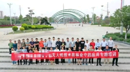 无人机技术在林业中的应用