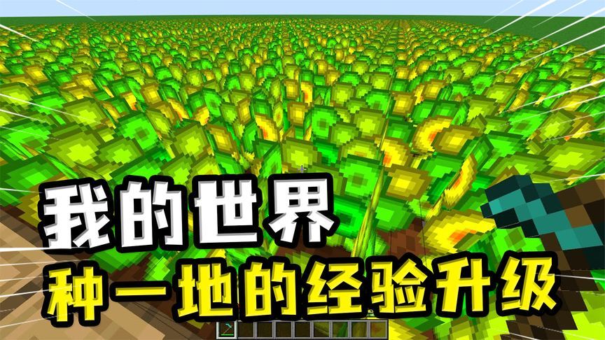 我的世界:种田也能升级?不出意外的话,这是目前最快的升级办法