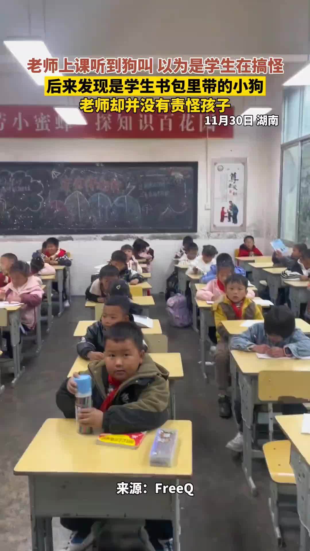 老师上课听到狗叫 以为是学生在搞怪,发现是学生书包里带的小狗
