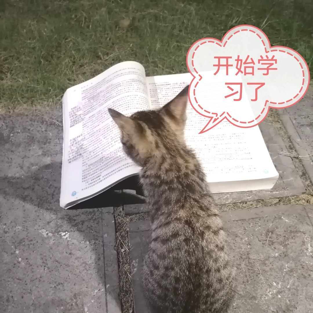 喵哈哈哈哈哈哈哈 