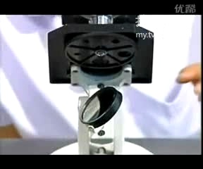 显微镜的构造和使用