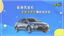 购车手册丨省油又省心 丰田卡罗拉哪款适合你