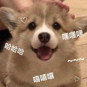 耽推记事簿 