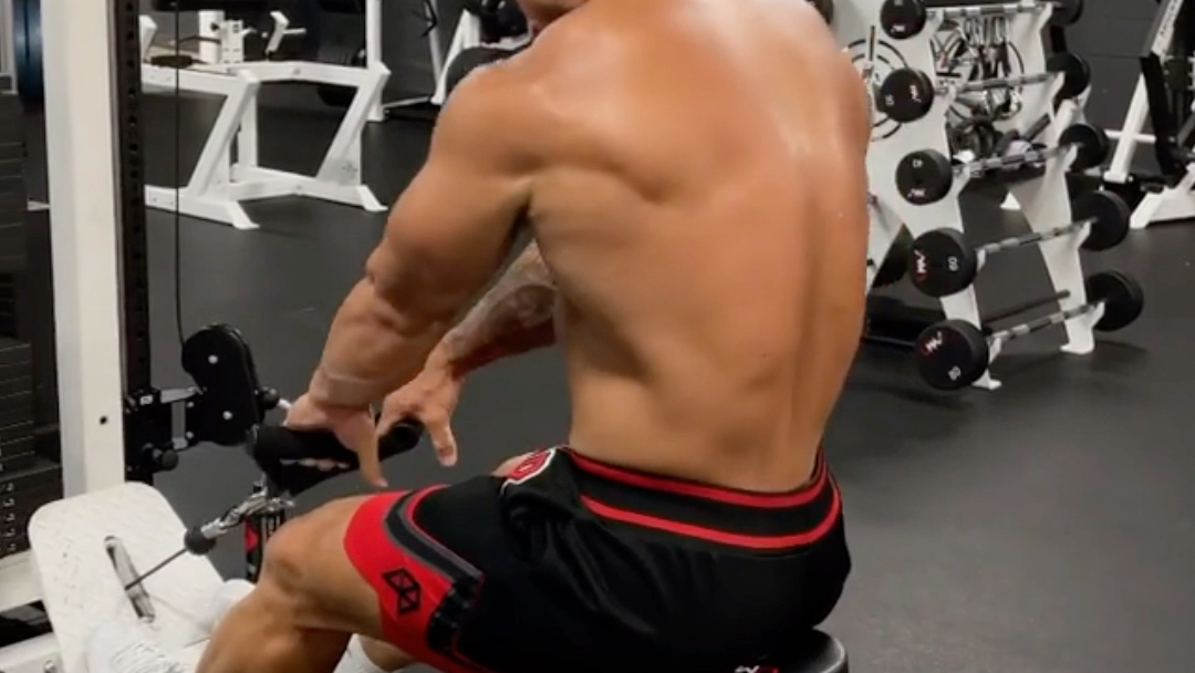 健身房训练计划-男士背部腿部训练计划(详细计划见片尾)