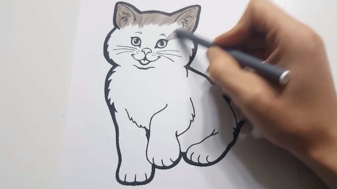 小猫咪简笔画 简单易上手 快来涂上颜色吧