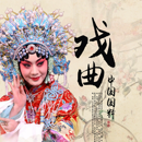 爱国粹的小聪聪 