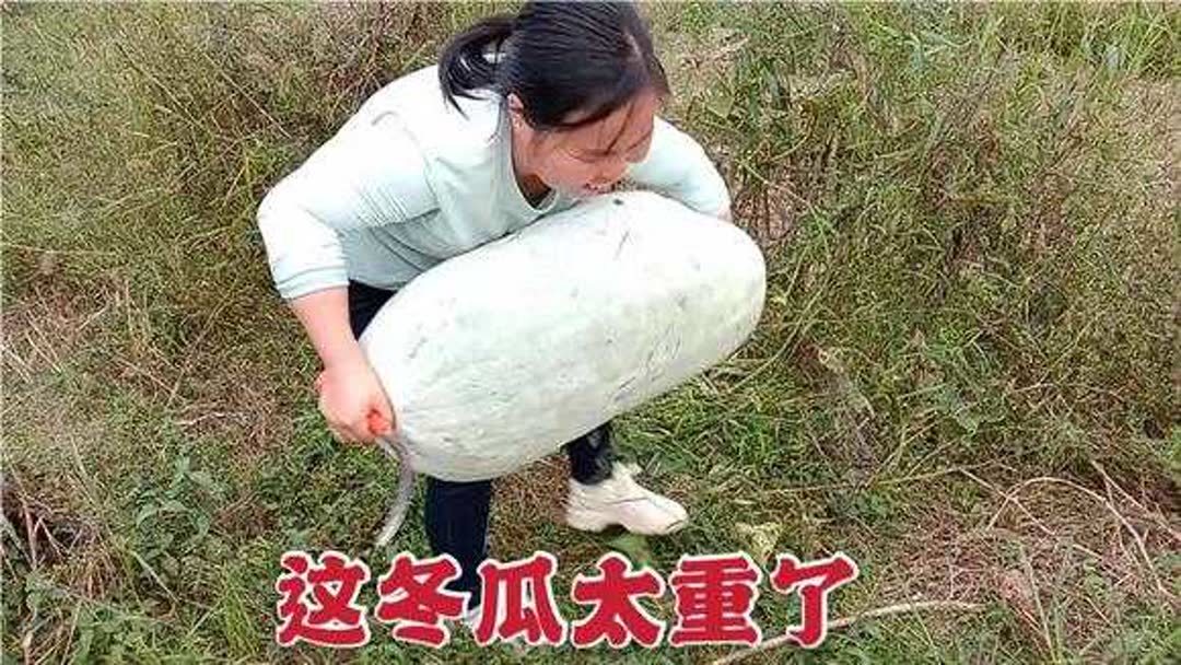 第一次见这么大的冬瓜,母女俩抬回家,一称50多斤