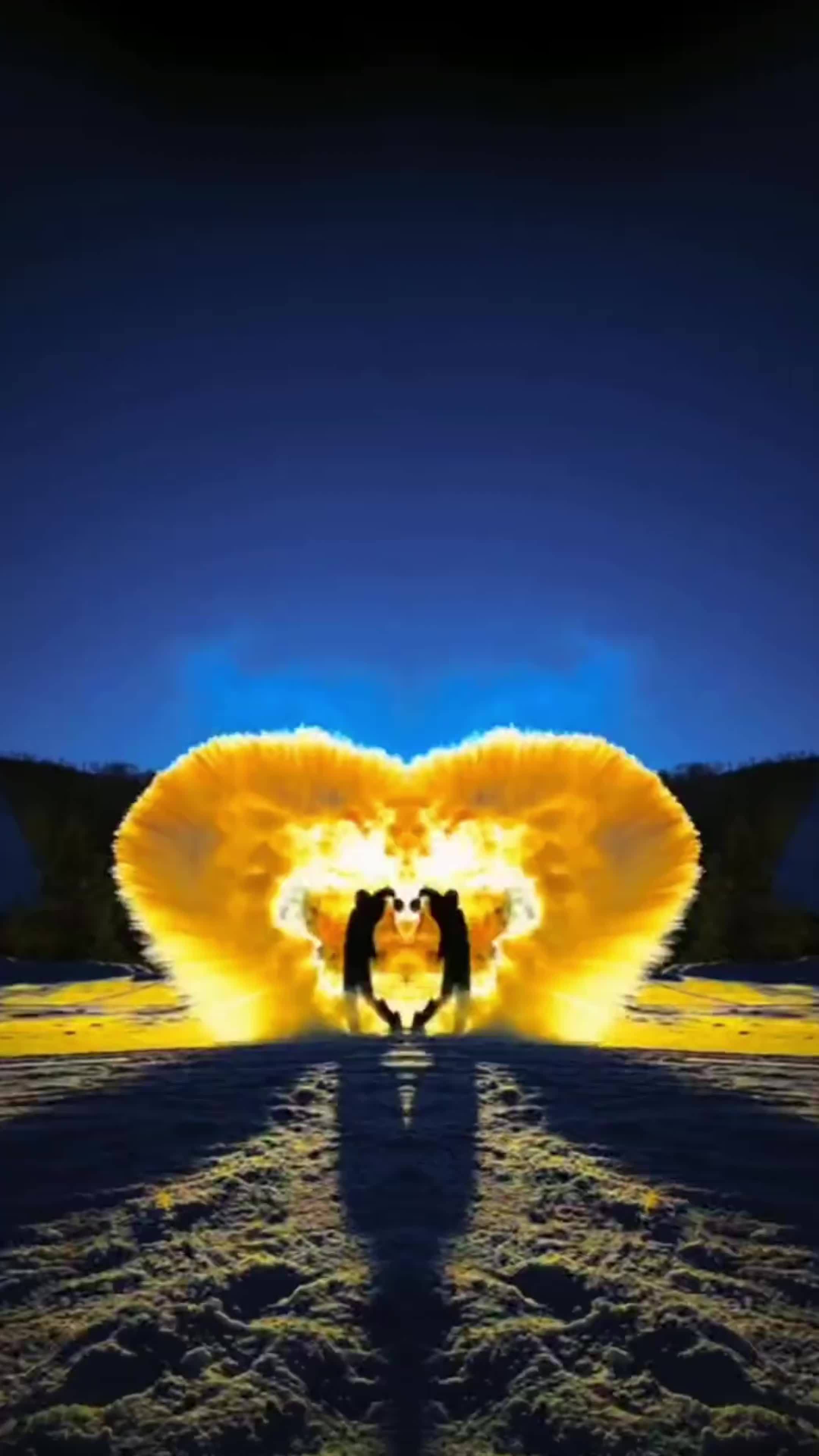 如此罕见的一幕!一定要跟最重要的人一起看