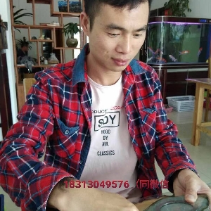 冰晴翡翠一阿凯 