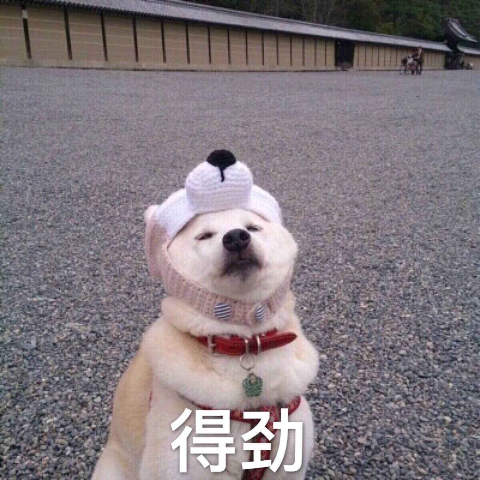 希尔瓦纳斯科科 