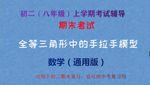 初二数学上期末辅导,全等三角形中的手拉手模型