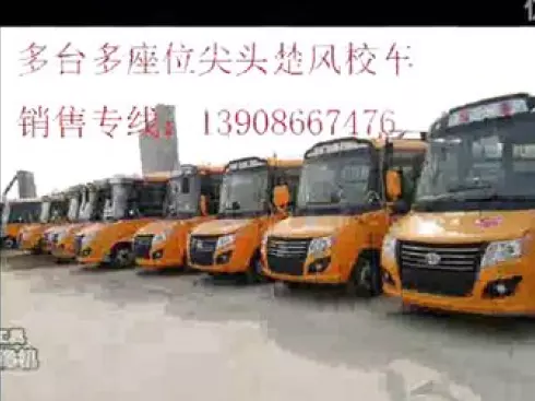 2015最畅销19座35座小学生校车,最安全尖头小学生校车报价,销售最...