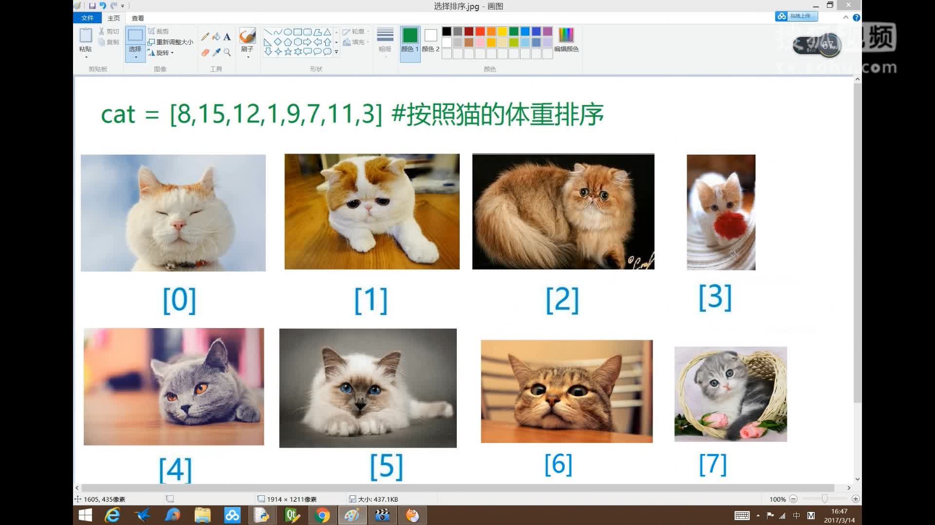 快乐编程python入门40 施奶奶给萌猫称重 python演绎选择排序