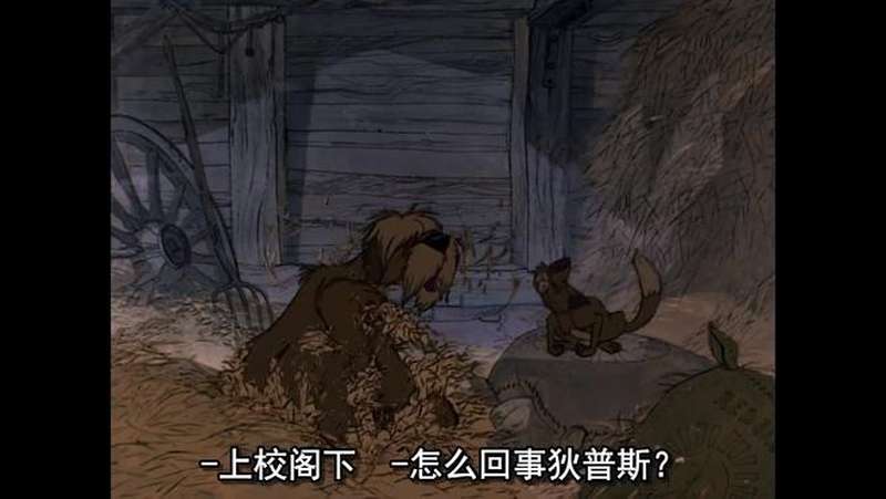 狗狗在传递信息,没想到老马听见了,赶紧让猫咪去喊狗狗