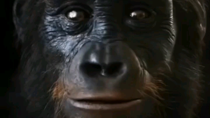 人类起源的演化过程