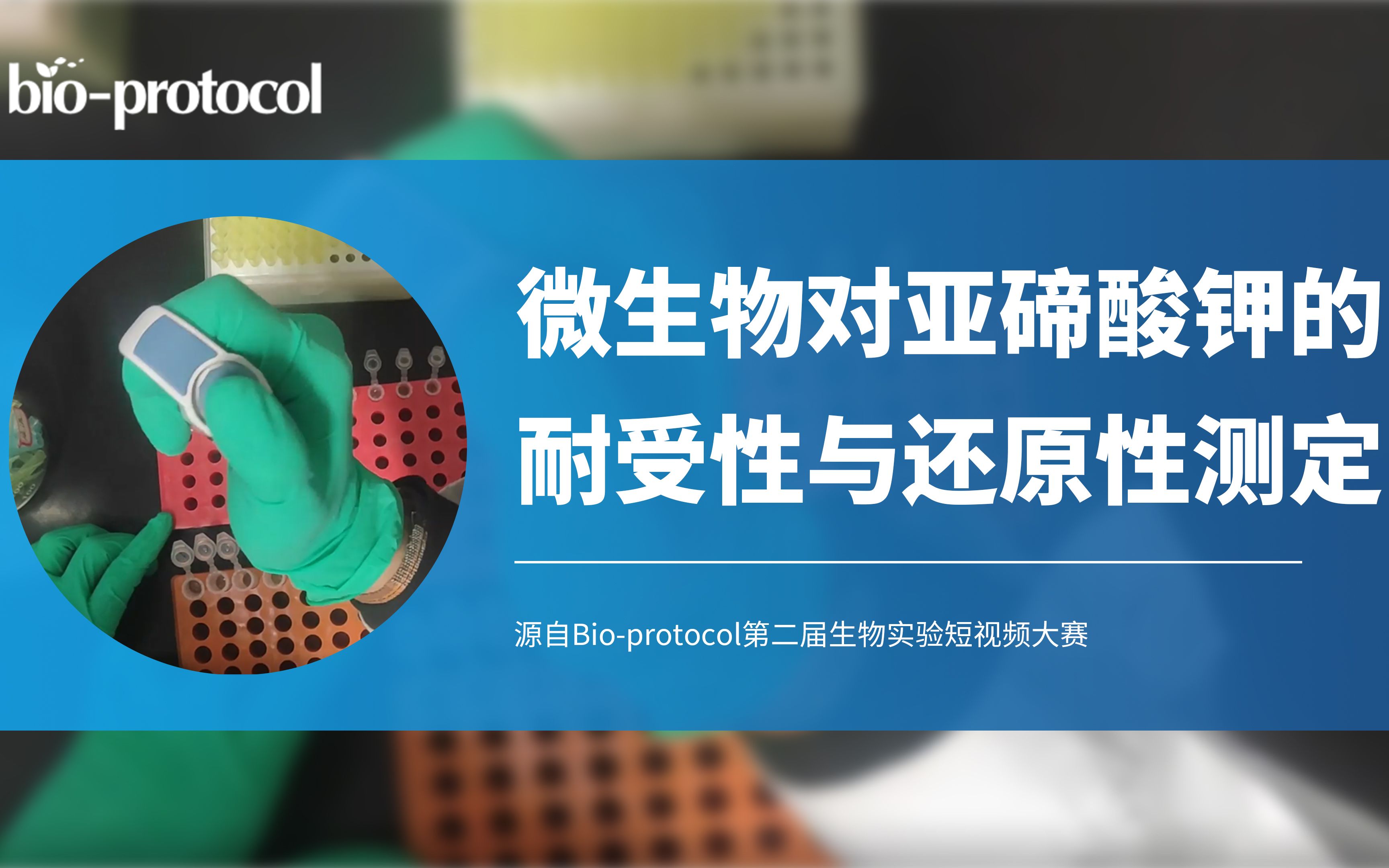 【Bio-protocol】微生物对亚碲酸钾的耐受性与还原性测定