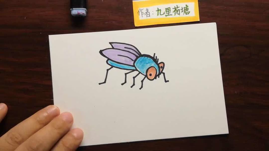 11 苍蝇简笔画视频