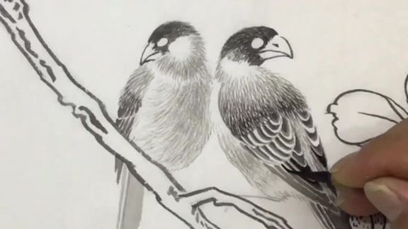 蜡嘴鸟的画法第一集,#谁说国画不抖音 #向往的生活 #星光接力