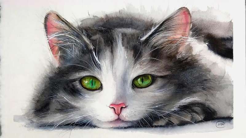 逼真的水彩绘画视频,一步步绘制一只小猫咪