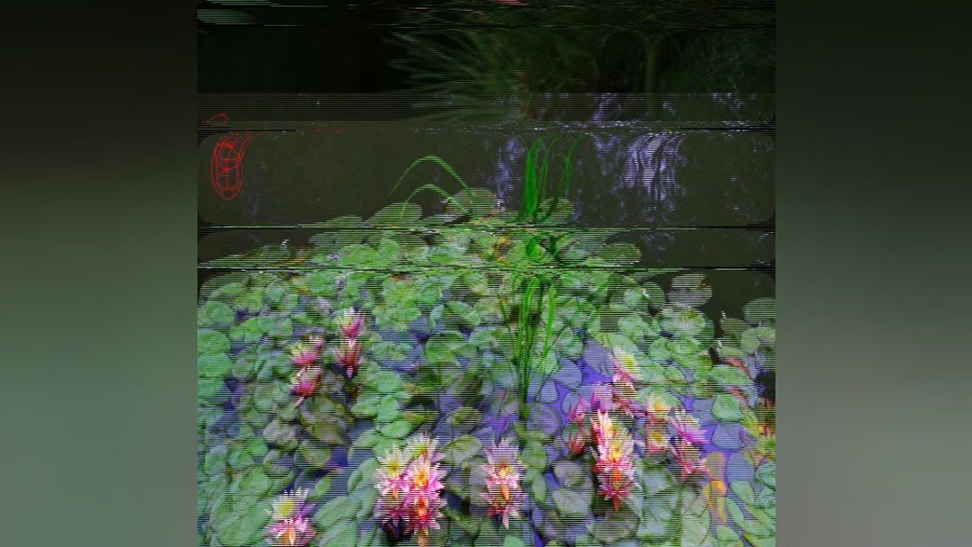 百花美姿四季盛开,献给 鲜花