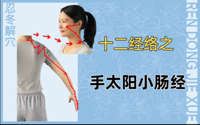 手太阳小肠经经络及其腧穴