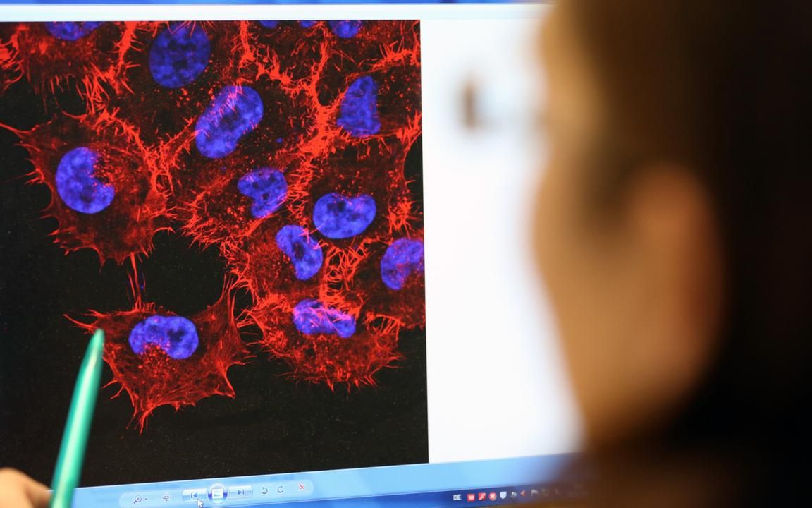 癌症疫苗免疫疗法