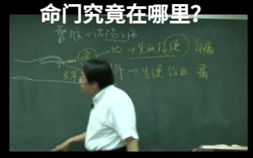 命门究竟在哪里