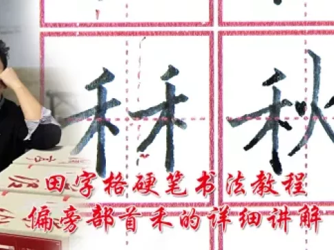 中国书法家协会高老师硬笔书法田字格教程,今天讲解偏旁部首禾