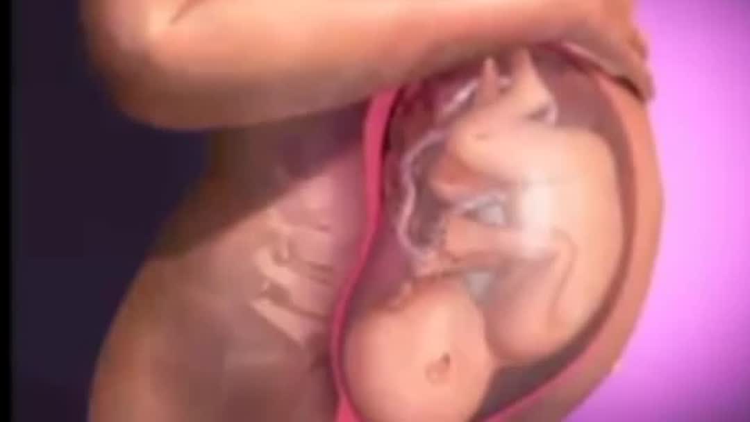 快镜头下实拍婴儿是怎样形成并出生的