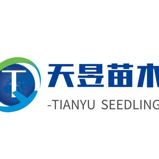 天昱生态苗木 