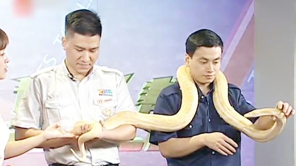 女人帮:孩子和动物接触需要注意哪些?听听专家的意见