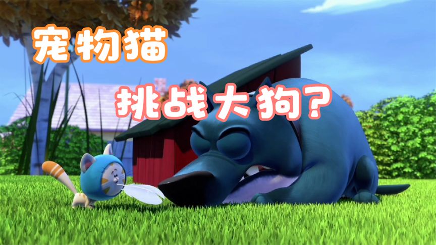 帽子猫:小猫追老鼠,差点被大狗追?咋回事呢