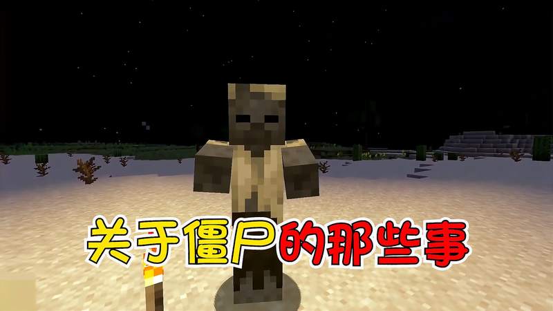 我的世界:你不知道的冷知识!关于僵尸的那些事!