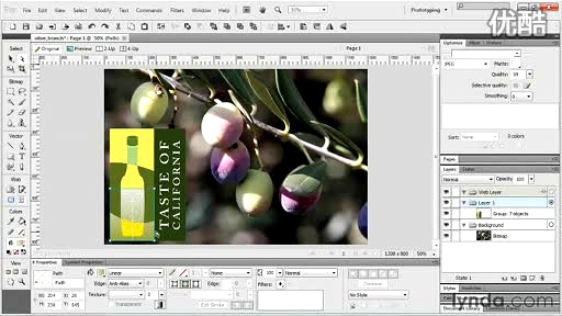 AdobeFireworks.CS5基础教程02_05