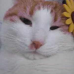 大脸家的戏精们 