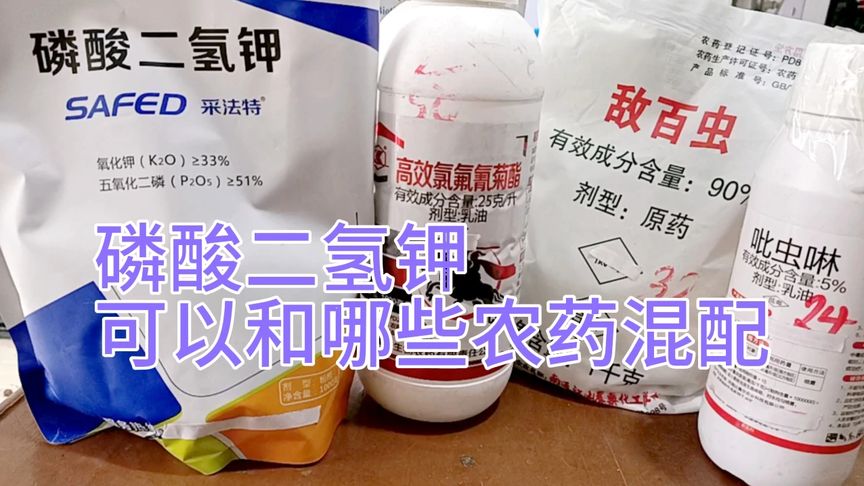 磷酸二氢钾可与敌百虫、辛硫磷和拟除虫菊酯类农药混合喷施。