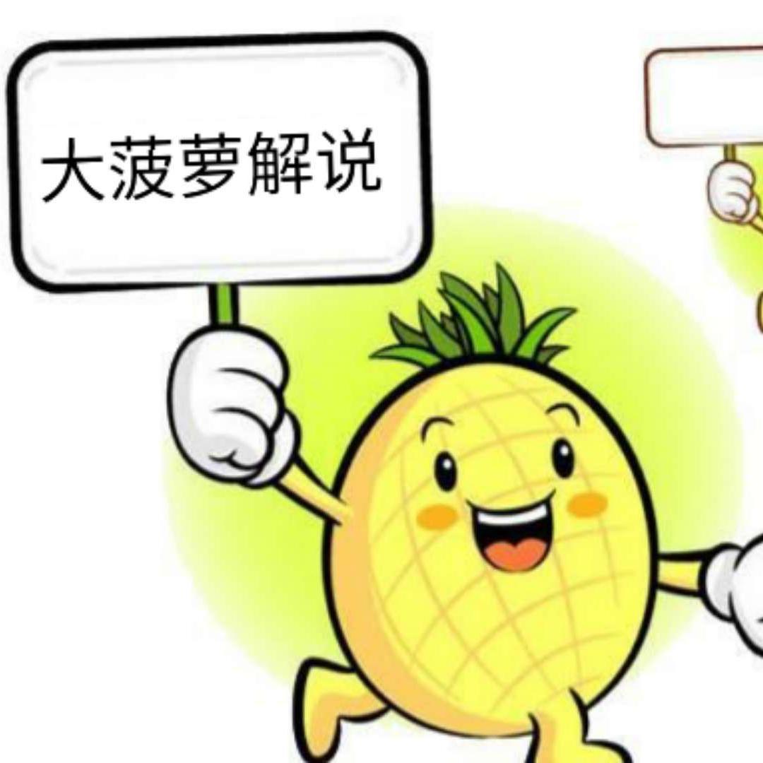 大菠萝游戏解说 
