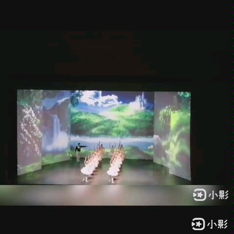 俄罗斯芭蕾舞剧院《天鹅湖》