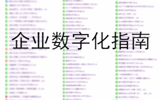 企业数字化品牌转型工业项目管理规划建设方案指南手册